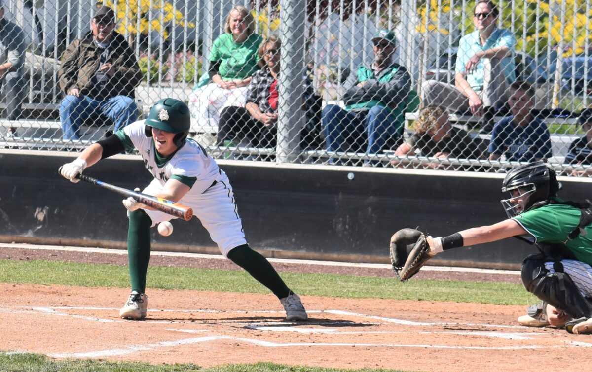 Successful and suave: Provo baseball team doing things the right way ...